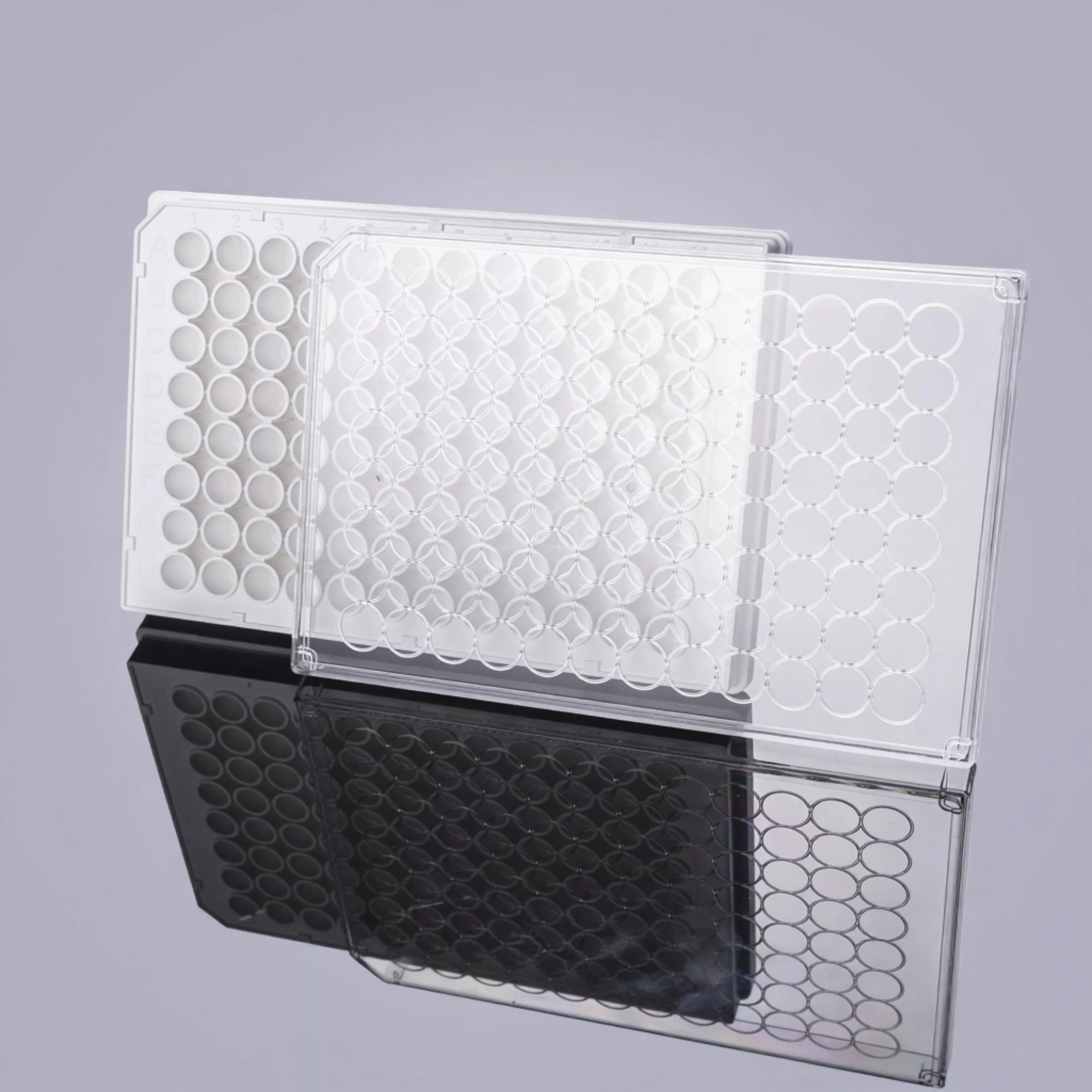 96-Well Optical-Bottom Microplate (White, TC Surface) – Pipettra
