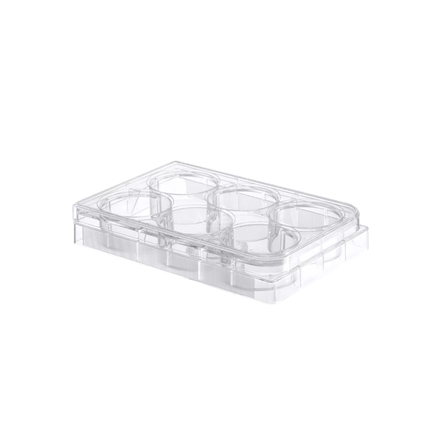 6‑Well Clear Flat‑Bottom Cell Culture Plate Non‑Treated Surface Steril ...